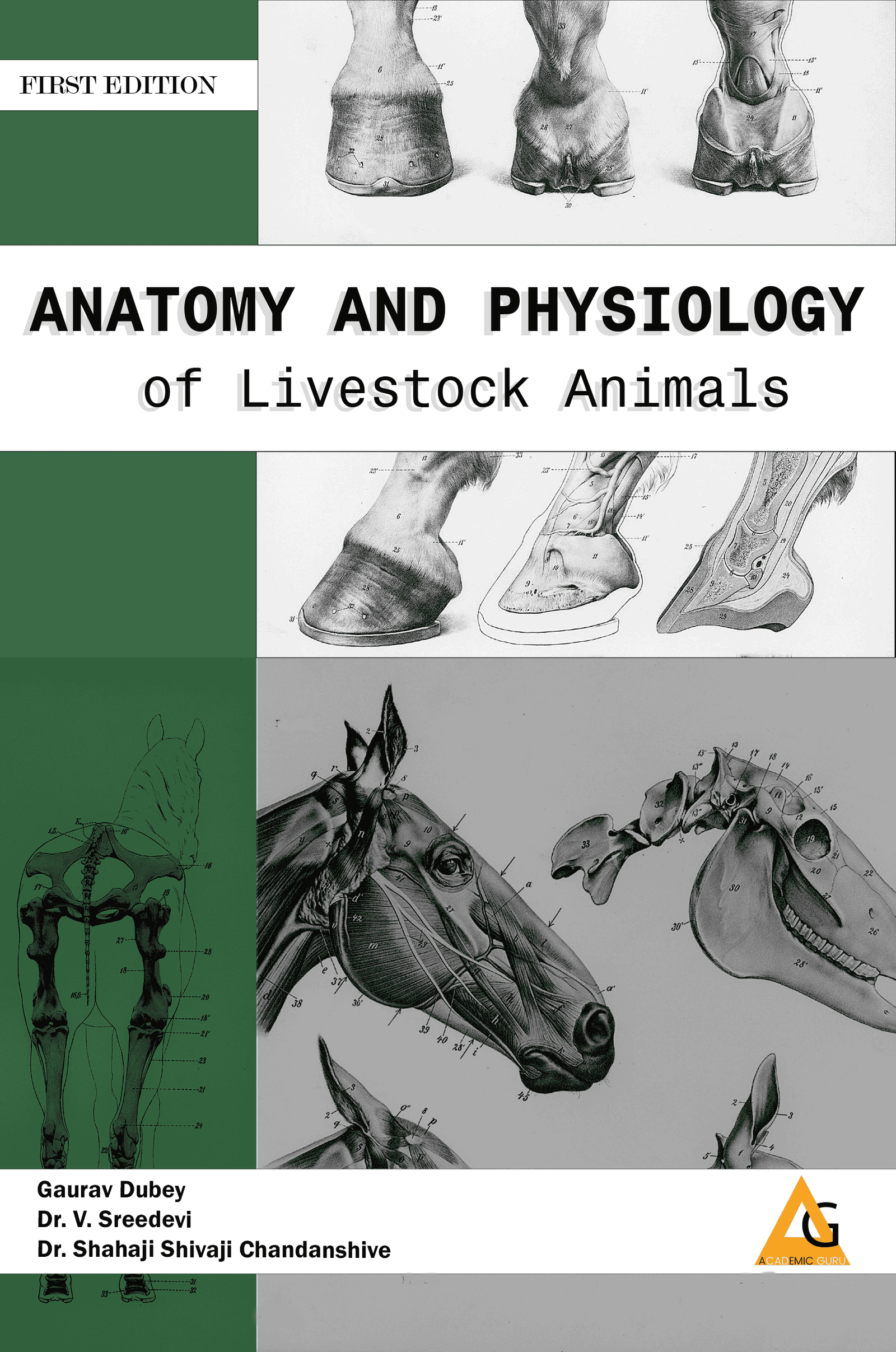 Anatomy and Physiology Of Livestock Animals - AGPH Store